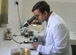 Dayalgroup | Our Group